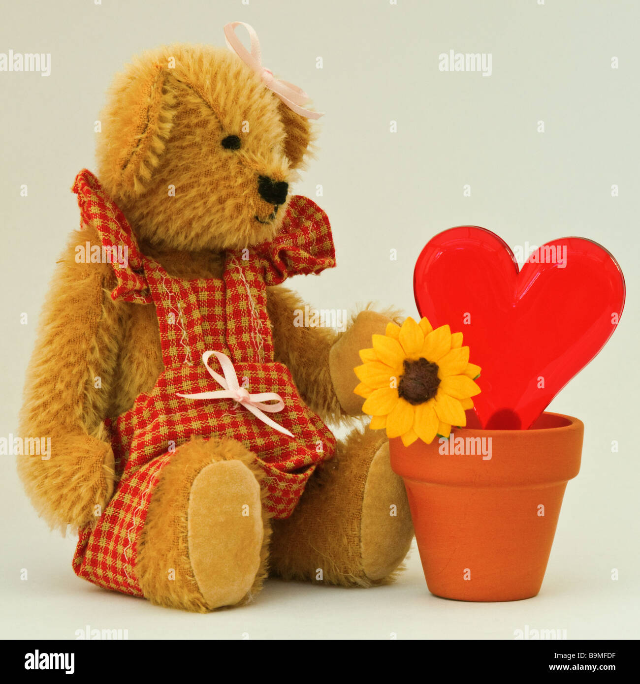 Miniature teddy love flower (Mini Bear Collection Stock Photo - Alamy