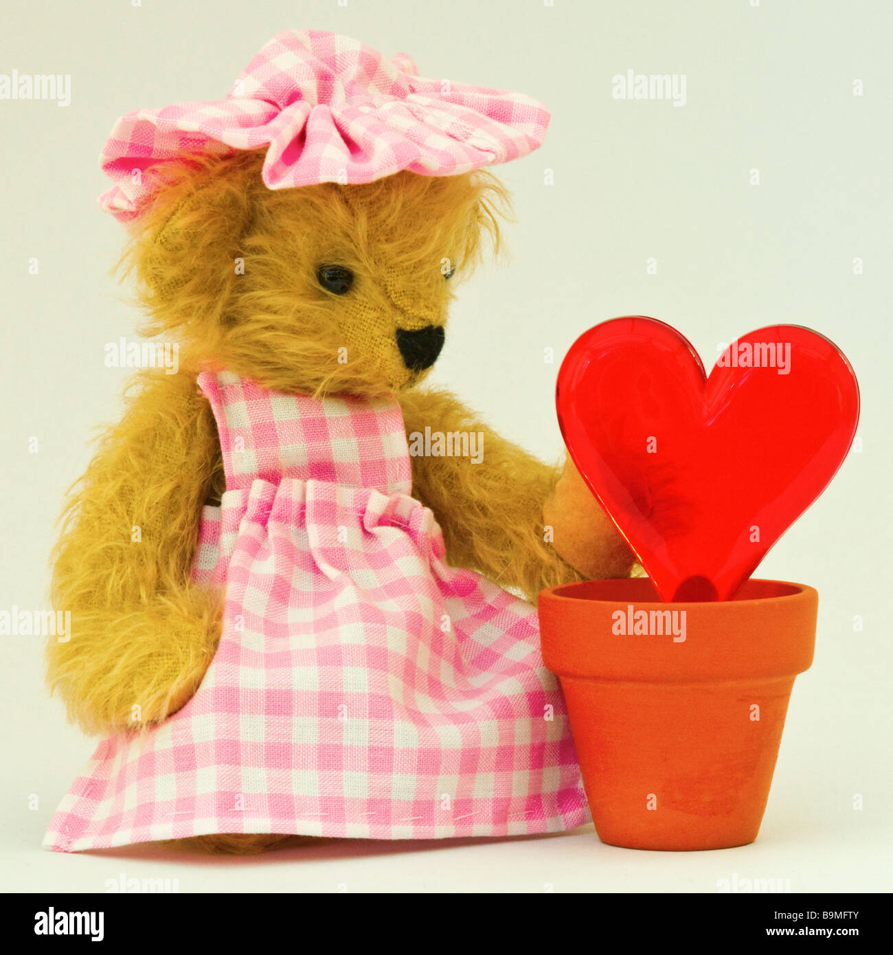 Miniature teddy love flower (Mini Bear Collection Stock Photo - Alamy