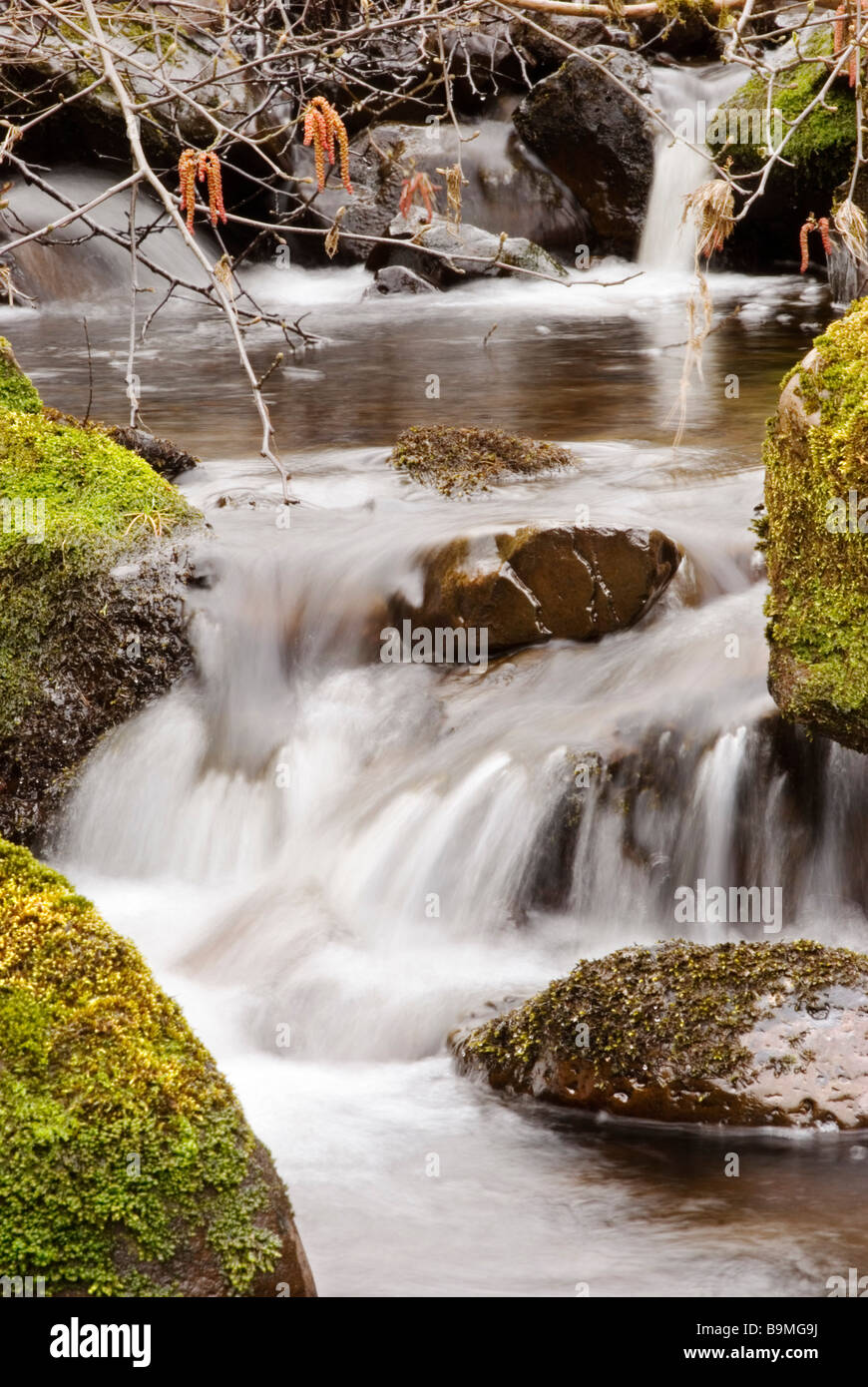 Waterfall with moss hi-res stock photography and images - Alamy