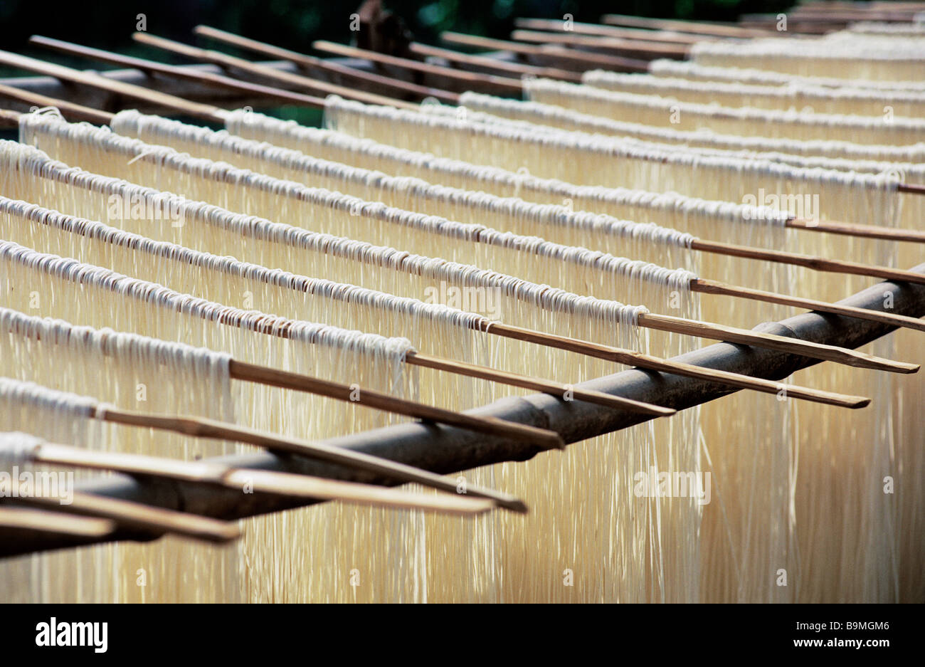 Myanmar (Burma), Shan State, Hsipaw, rice noodles drying Stock Photo ...
