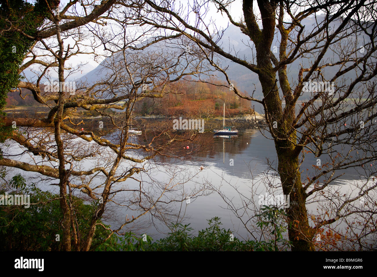 Tree lined island loch scene,with boat in landscape Stock Photo - Alamy