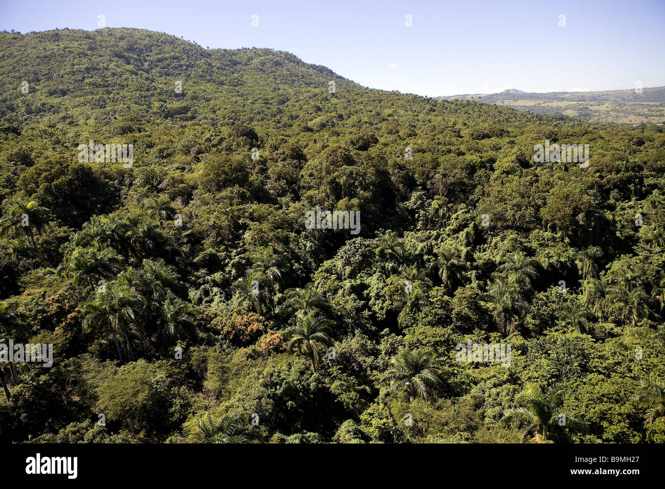Dominican Republic, Puerto Plata, the forest around the city (aerial ...