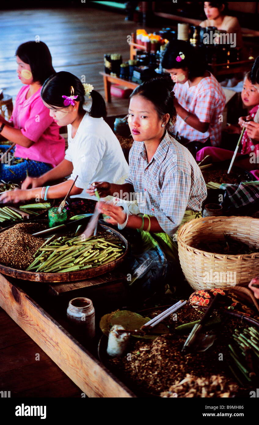 Myanmar (Burma), Shan State, Lake Inle, women making Cheerots (Burmese ...