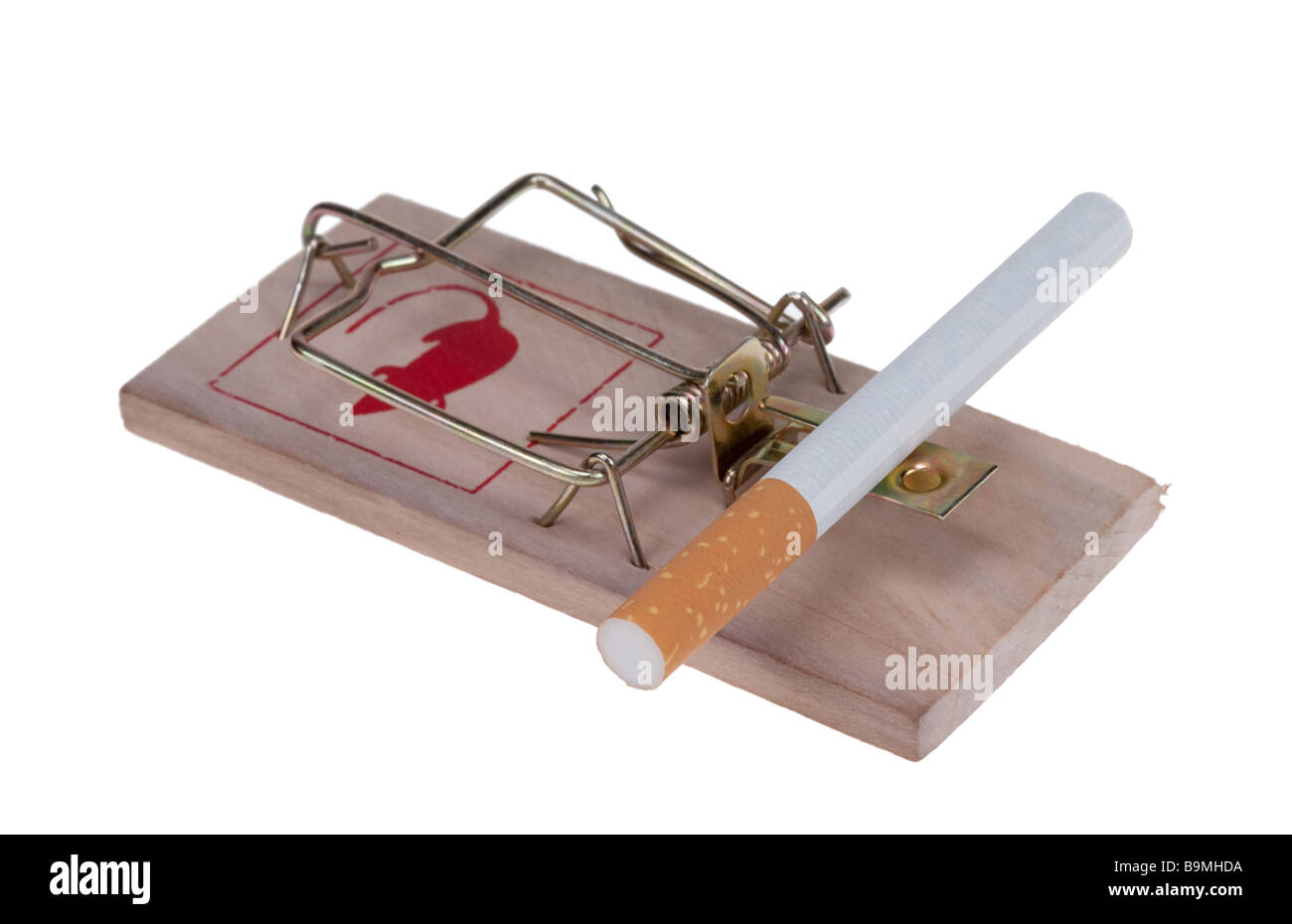 conceptual image of a cigarette on a mouse trap isolated on a white ...
