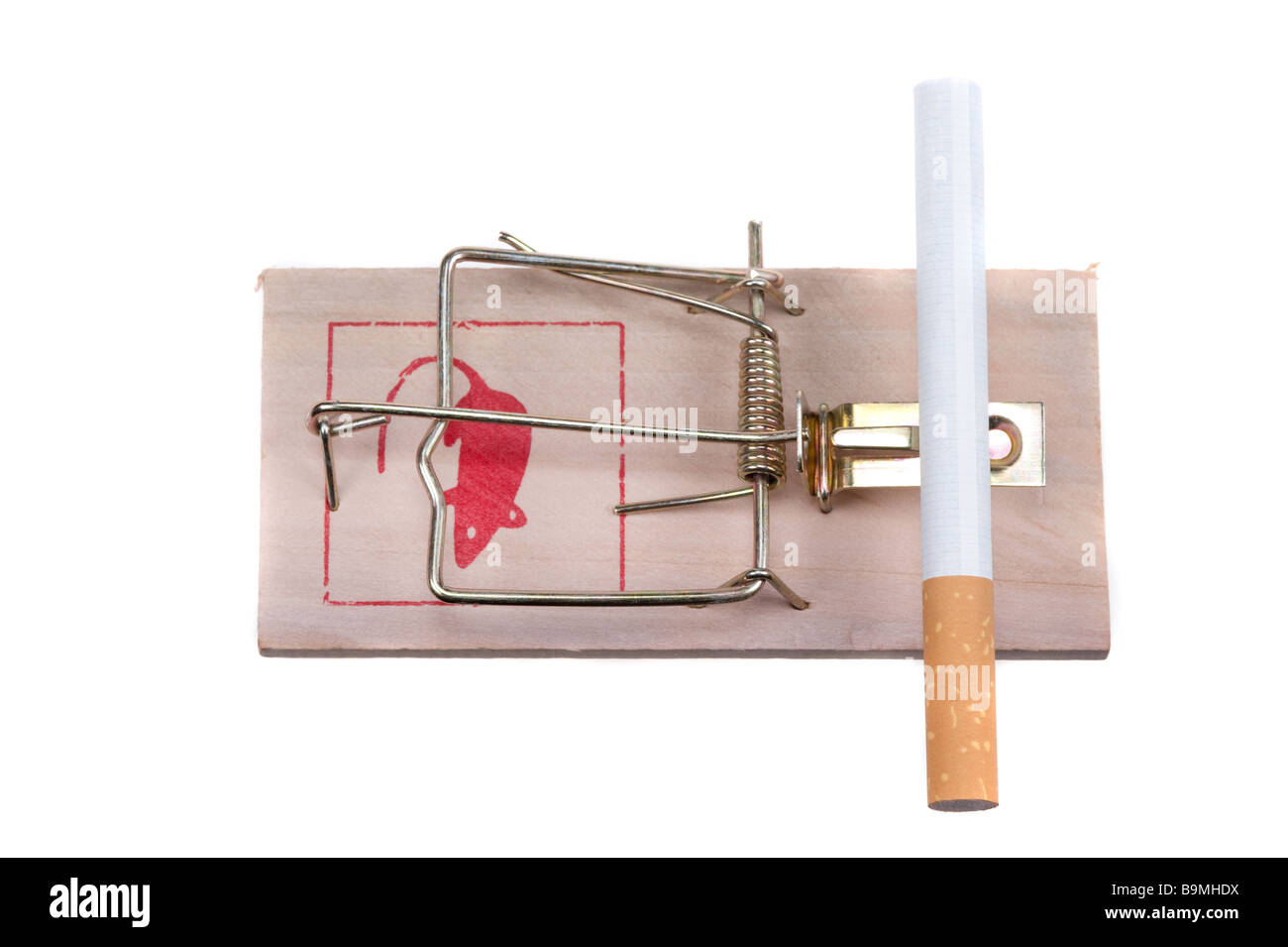 conceptual image of a cigarette on a mouse trap isolated on a white ...