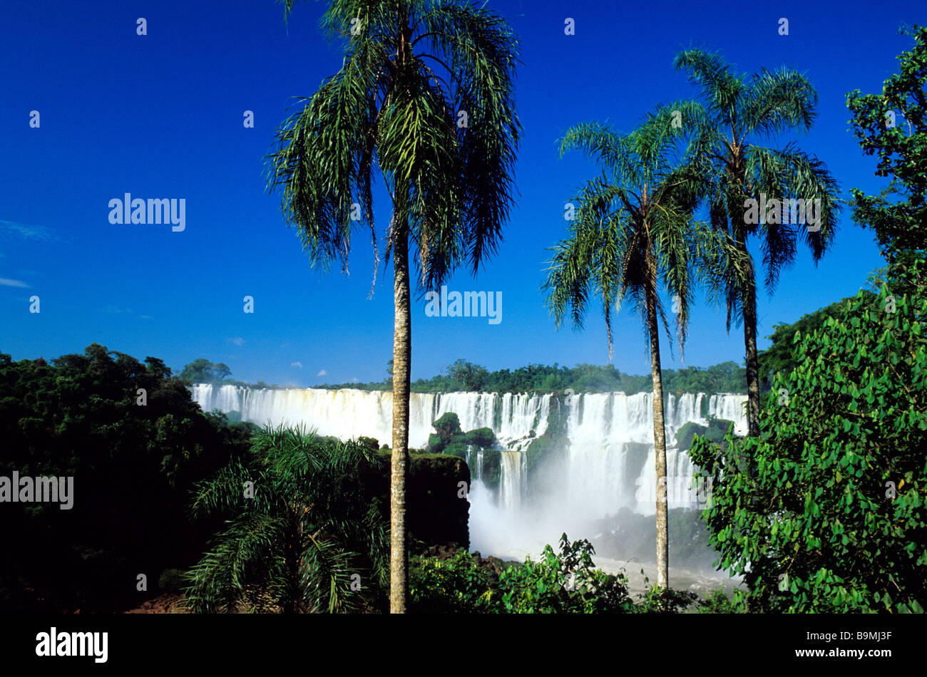 Argentina, Misiones Province, Iguazu National Park classified as World ...