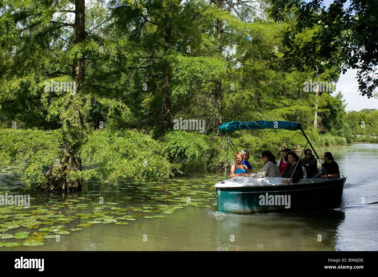 France, Loir et Cher, Chateau de Cheverny park, row with electric boat ...