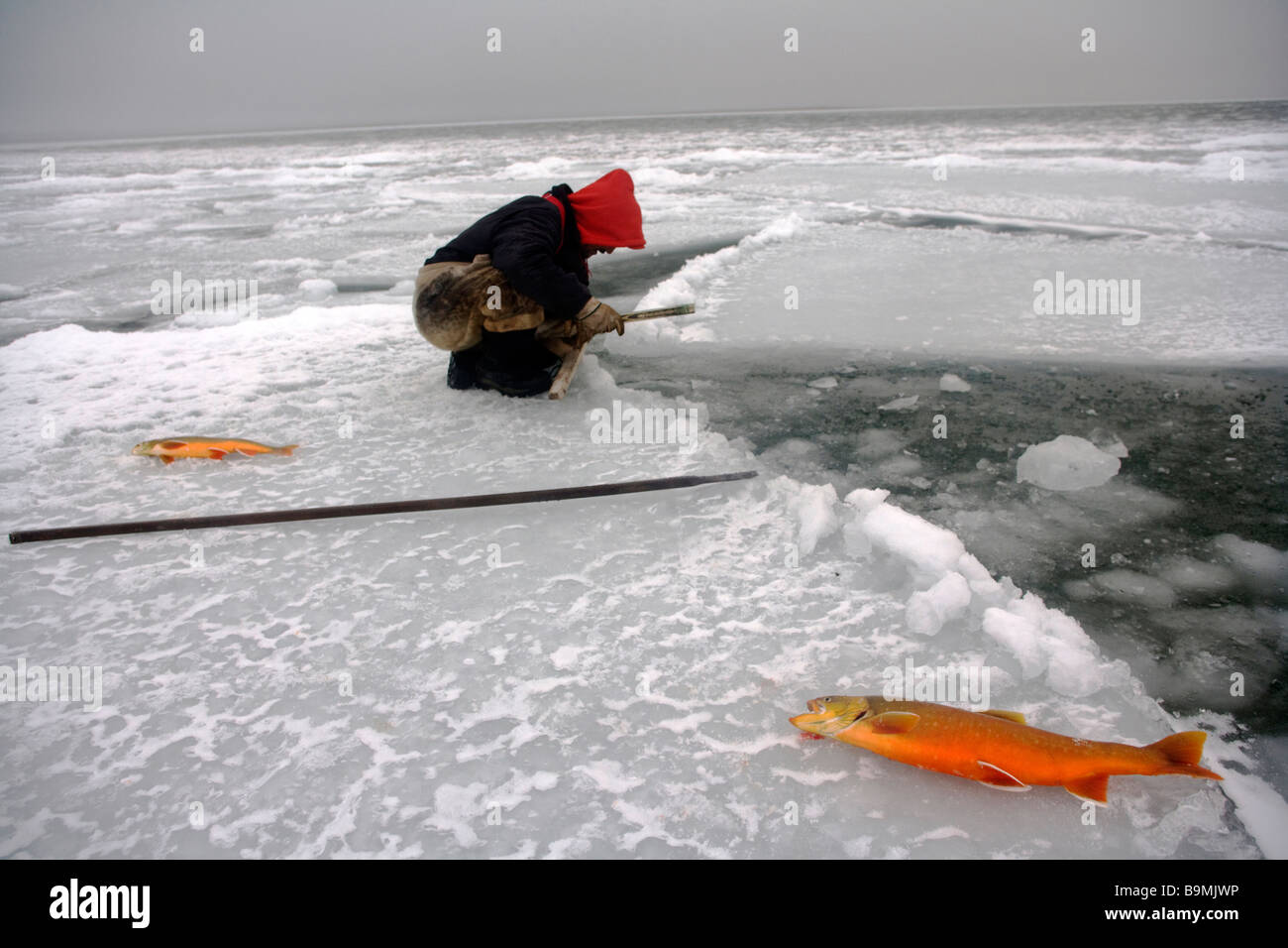 Canadian Ranger fishing for salmon on sea ice, Canadian Arctic, Canada ...