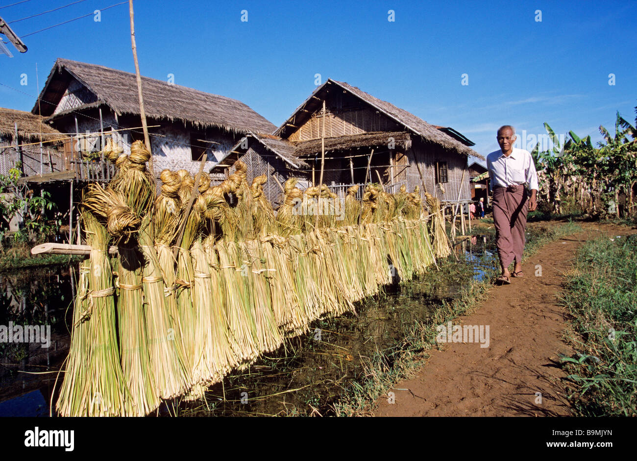 Myanmar (Burma), Shan state, Ywa Ma village, peasant Stock Photo - Alamy