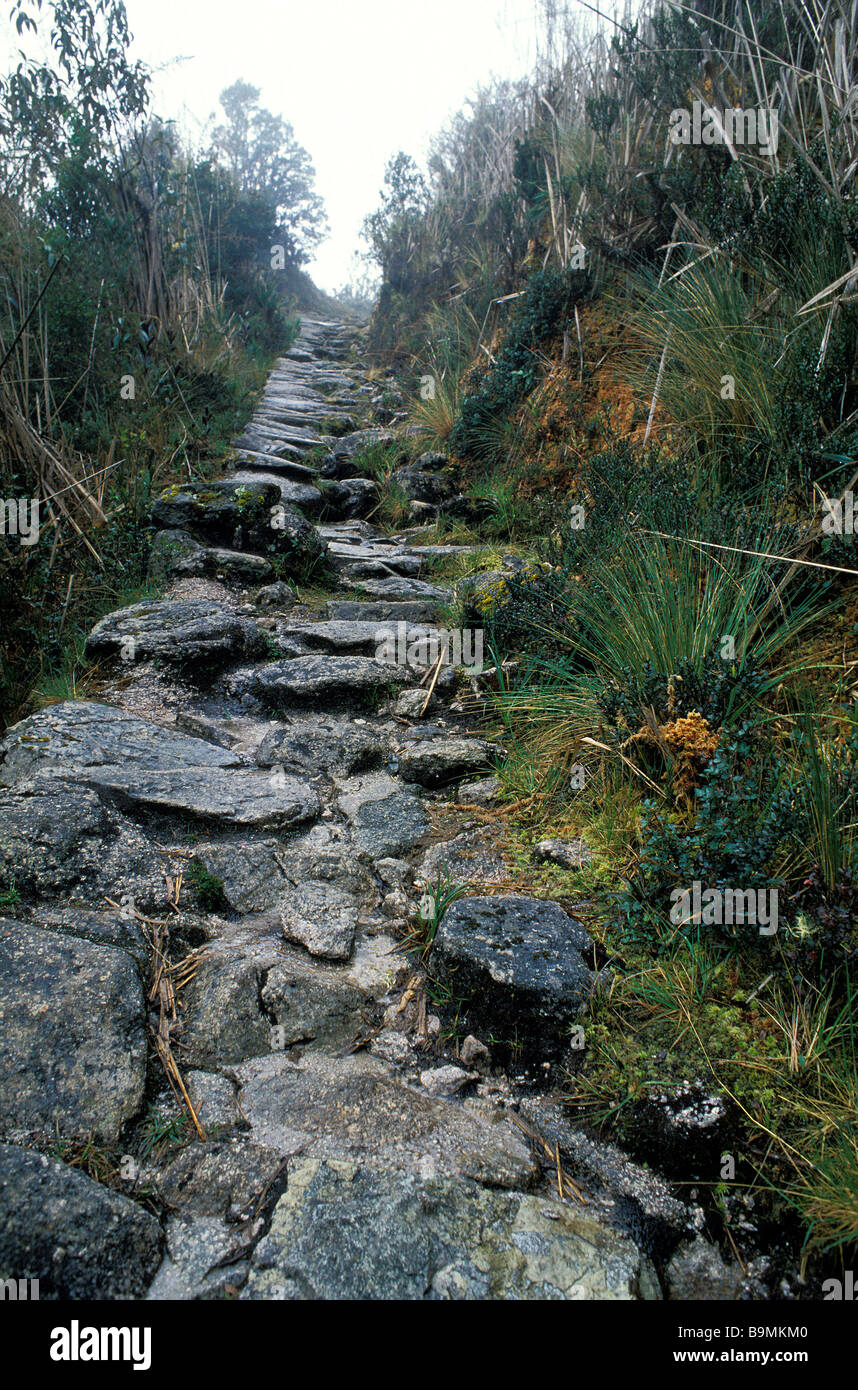 Peru, Inca's Path Stock Photo - Alamy