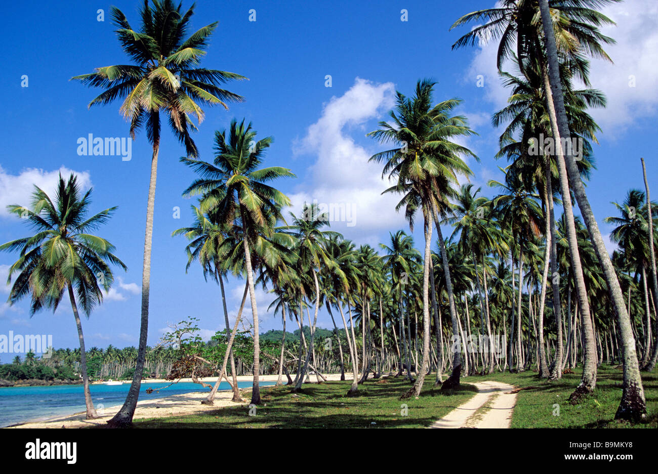 Dominican Republic, Samana, Playa Rincon Stock Photo - Alamy