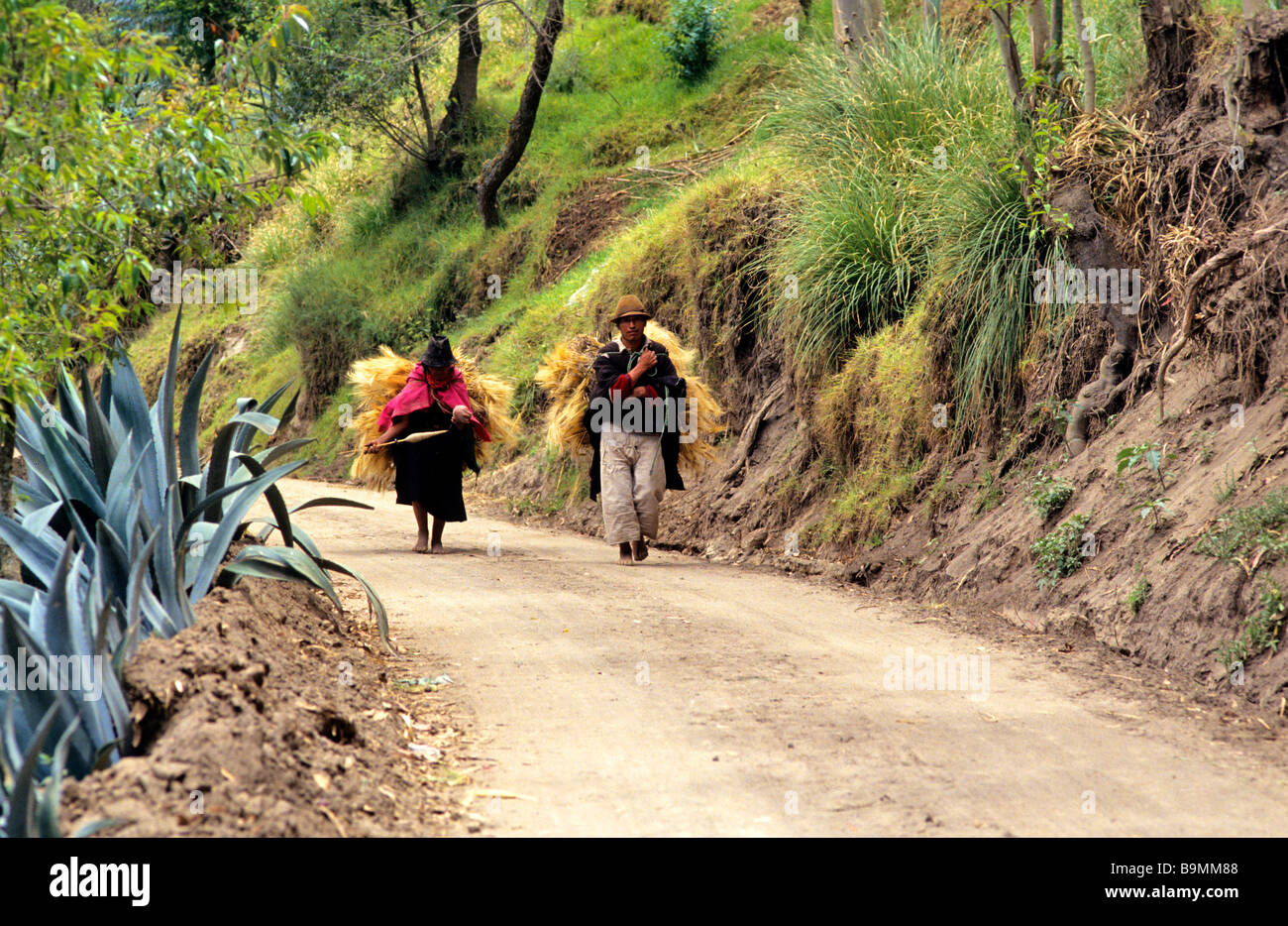 Ecuador, Tungurahua province, Salasaca, Salasacas Indians coming back ...