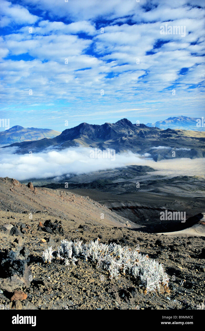 Ruminahui hi-res stock photography and images - Alamy