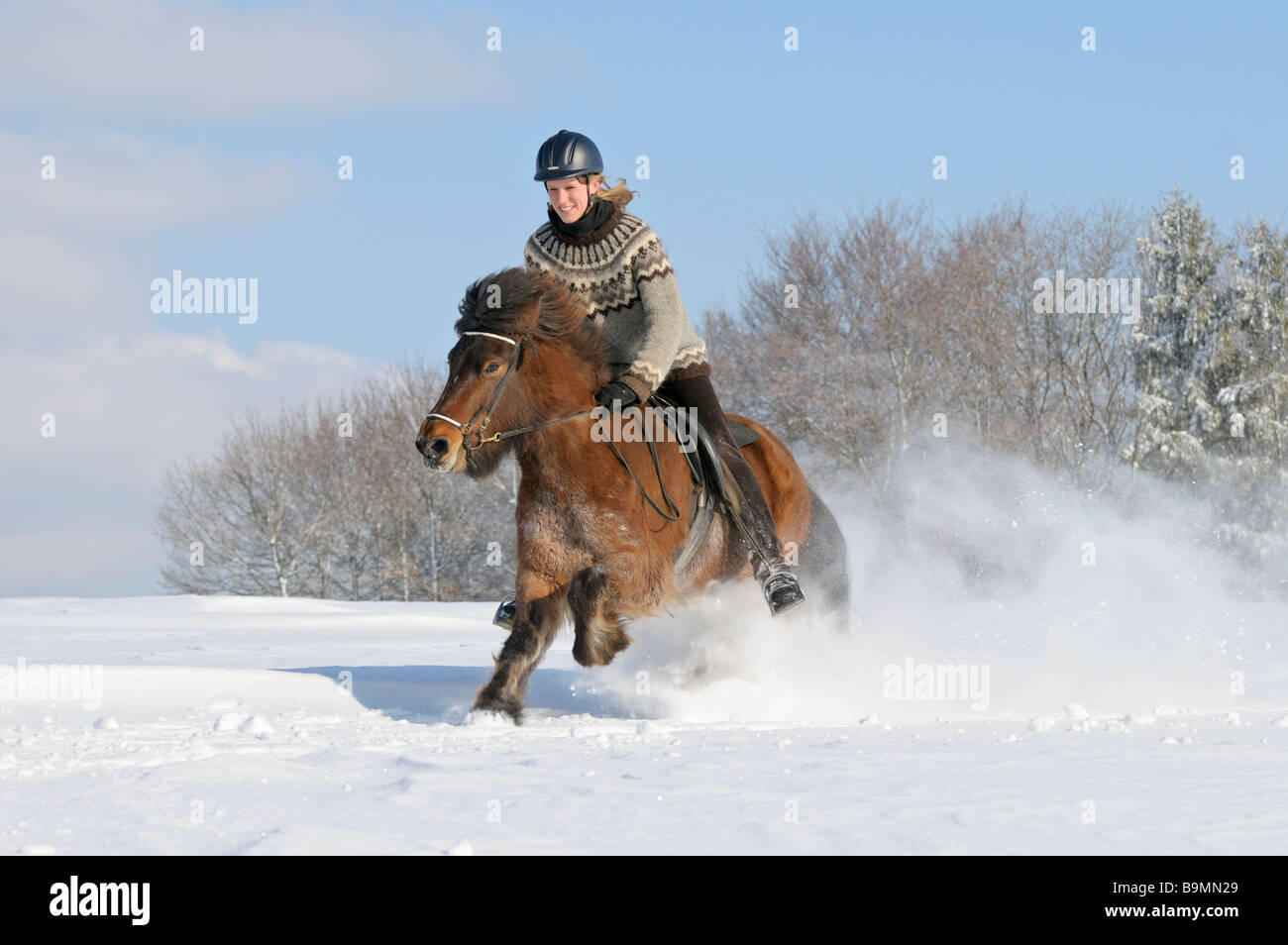 Animal horse riding rider winter snow leisure people recreation female ...