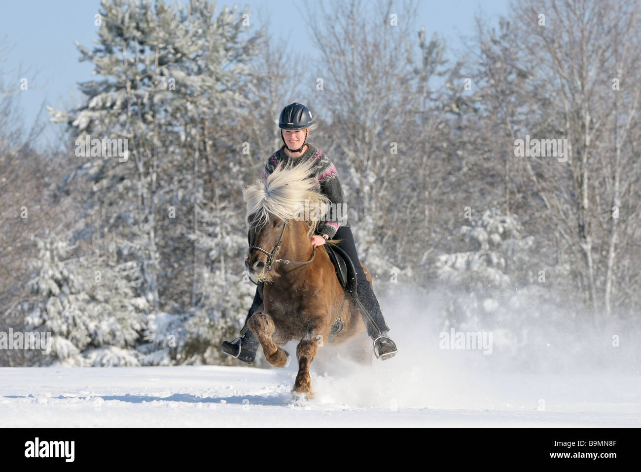 Horse riding rider winter snow leisure people recreation female animal ...