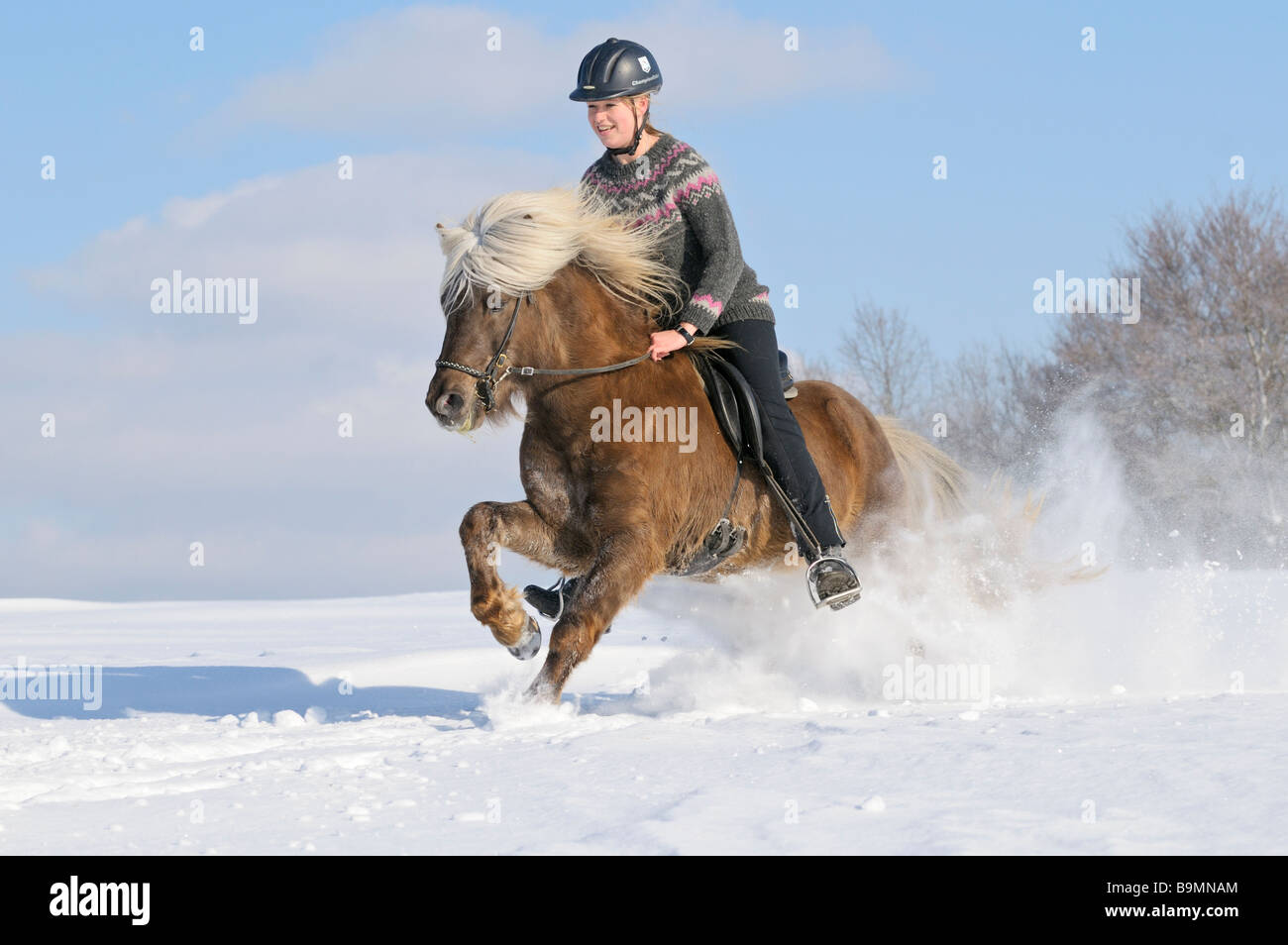 Animal horse riding rider winter snow leisure people recreation female ...