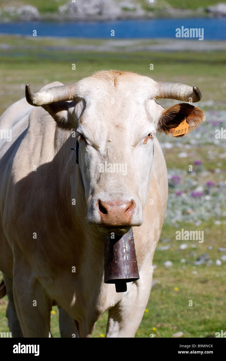 Cirque horn hi-res stock photography and images - Alamy
