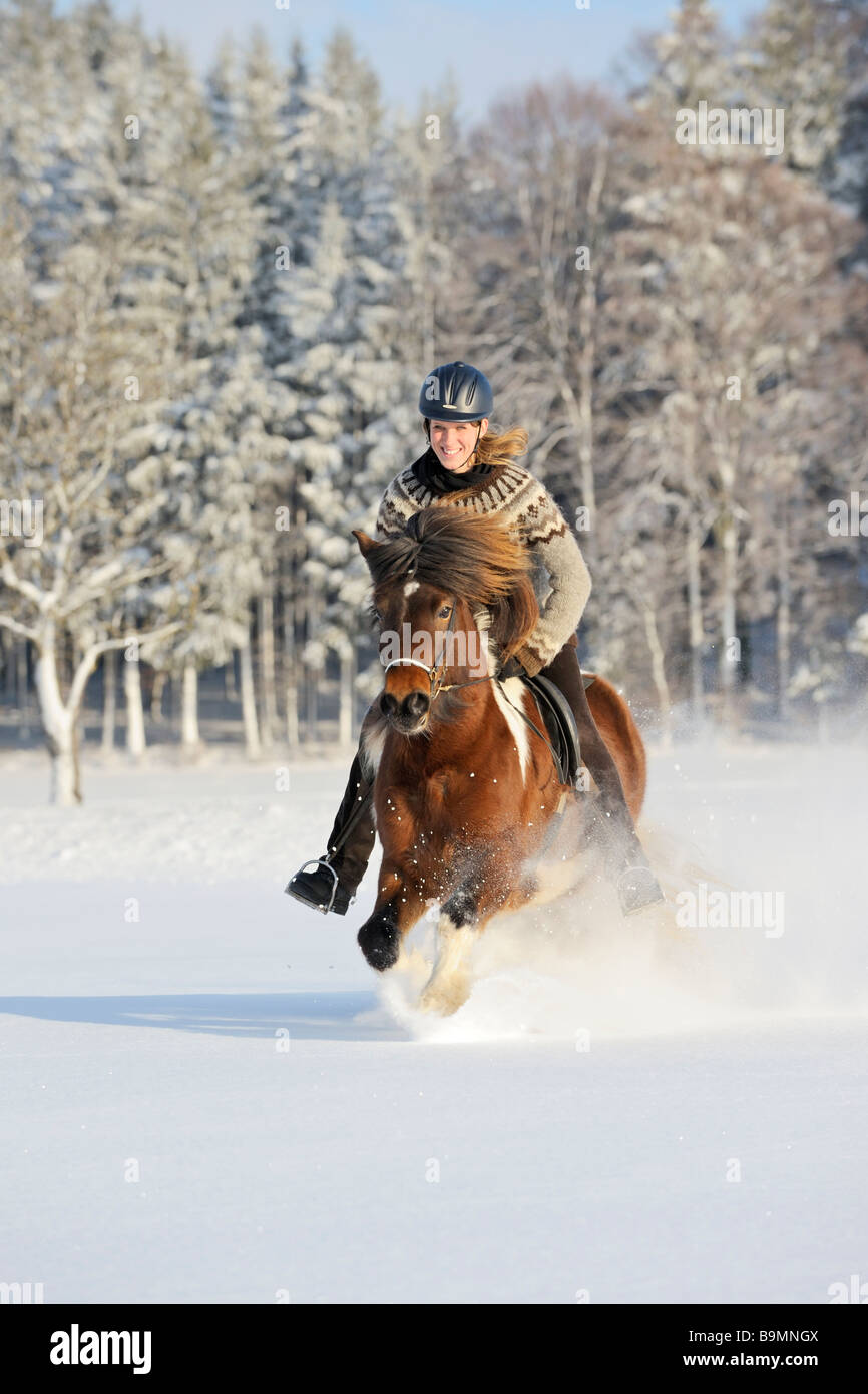 Animal horse riding rider winter snow leisure people recreation female ...