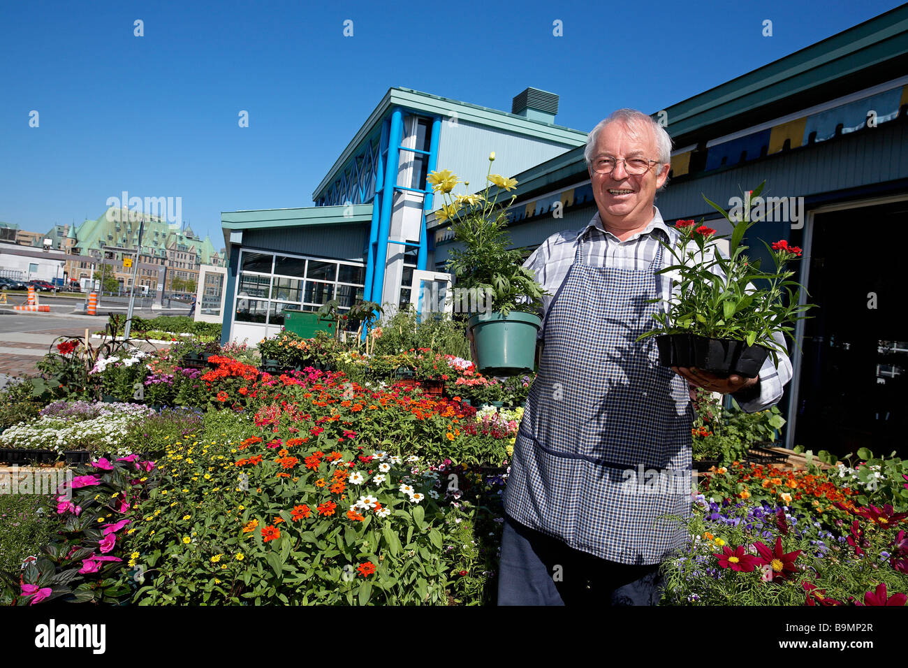 Vieux marc hi-res stock photography and images - Alamy