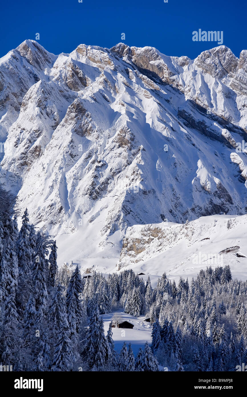 France, Savoie, La Giettaz, the Aravis mountain range in the background ...