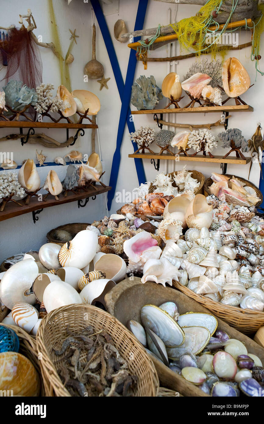 Greece, Crete, Elounda, Sea Shells shop Stock Photo - Alamy