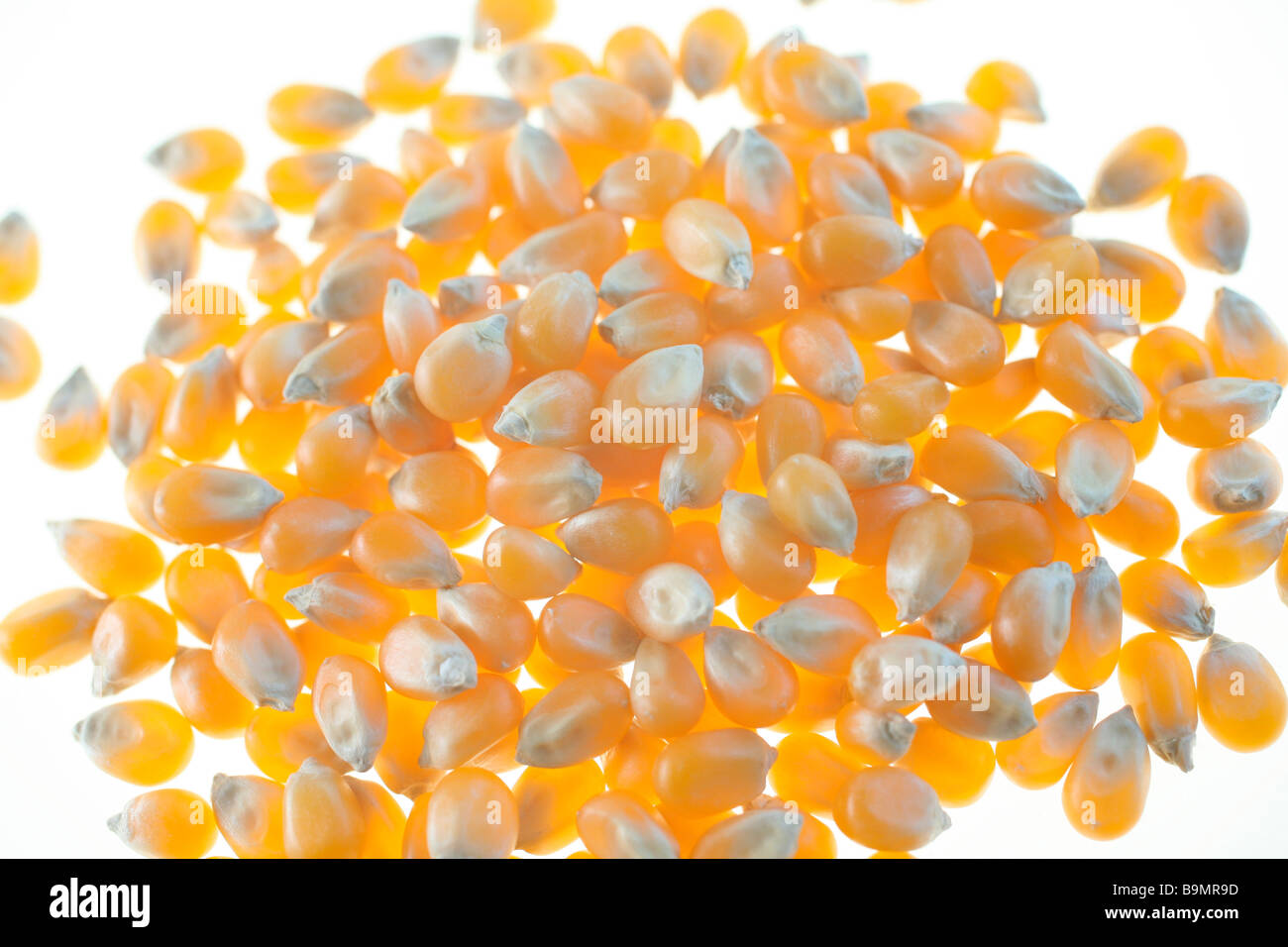 Corn for popping hi-res stock photography and images - Alamy