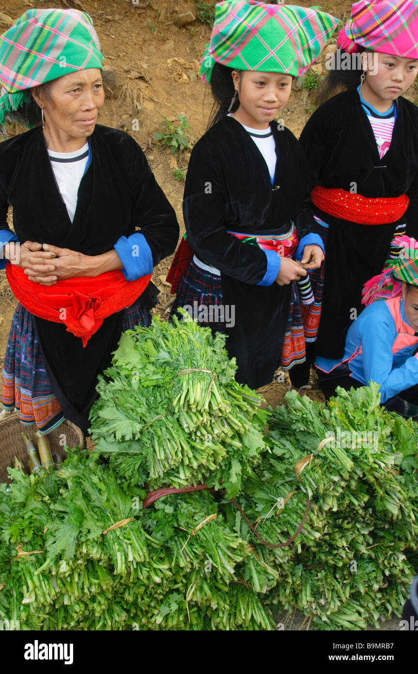 Big Haired Hmong women in the market in Tam Duong Vietnam Stock Photo ...