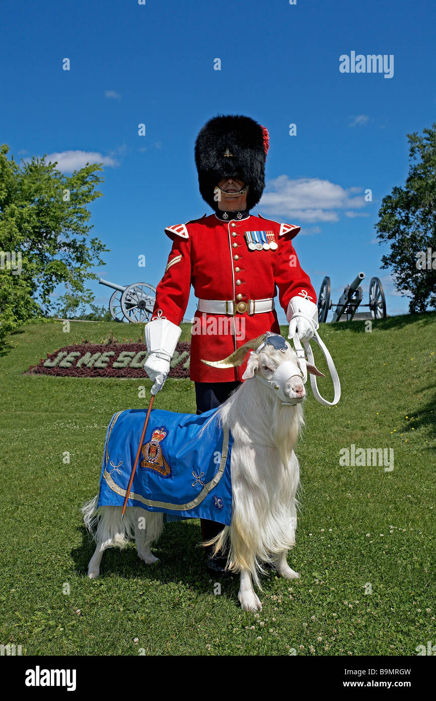 Canada quebec city guards hi-res stock photography and images - Alamy