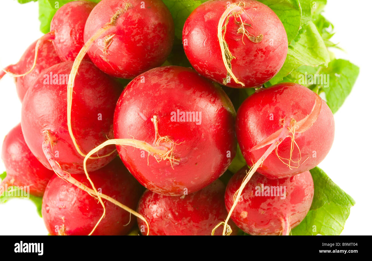 bundle of red radish isolated on white background Stock Photo - Alamy