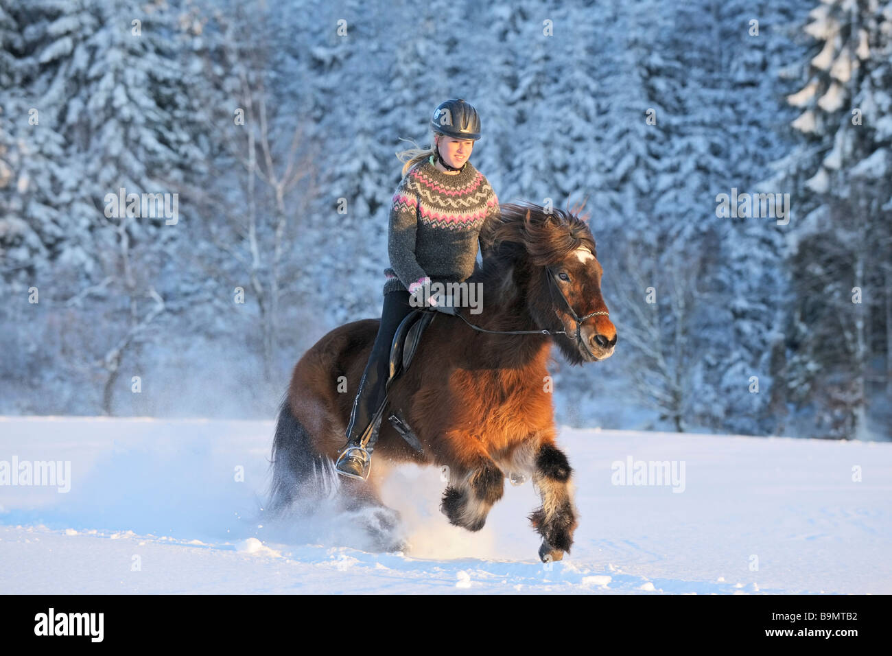 Animal horse riding rider winter snow leisure people recreation female ...