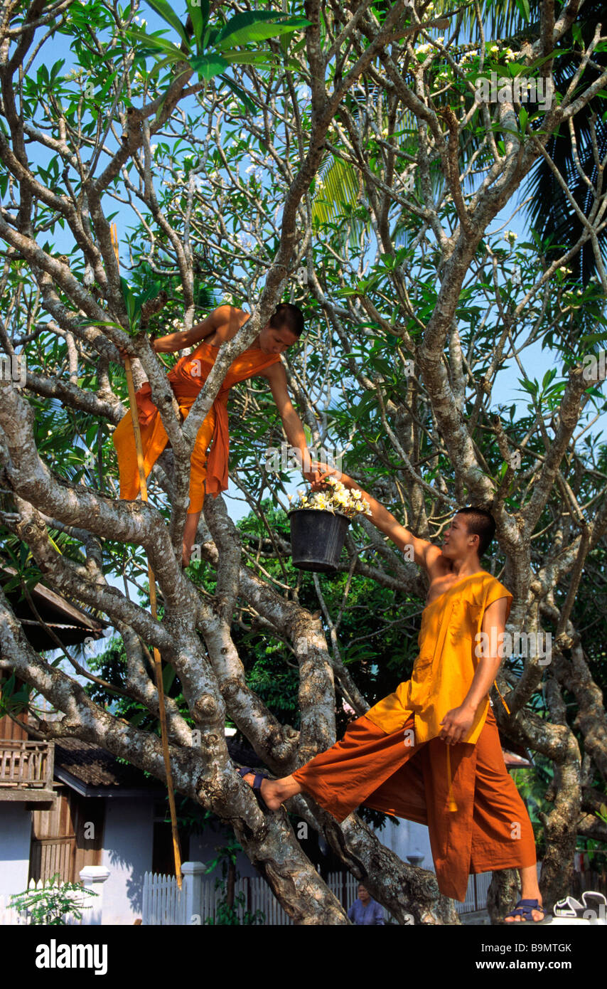 Man toga water hi-res stock photography and images - Alamy