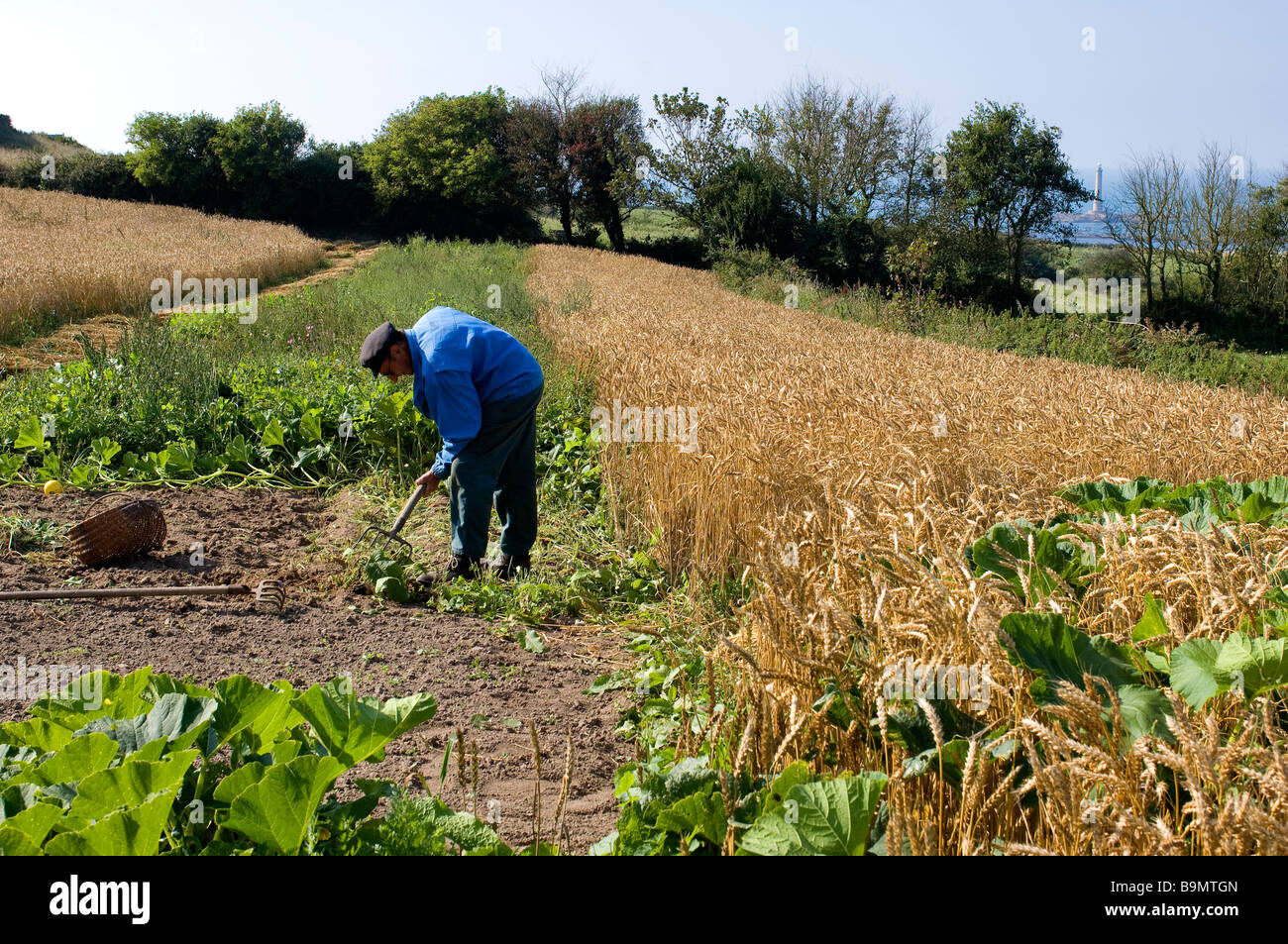 France, Manche, Cap de la Hague, Auderville, Auguste, brother of Paul ...