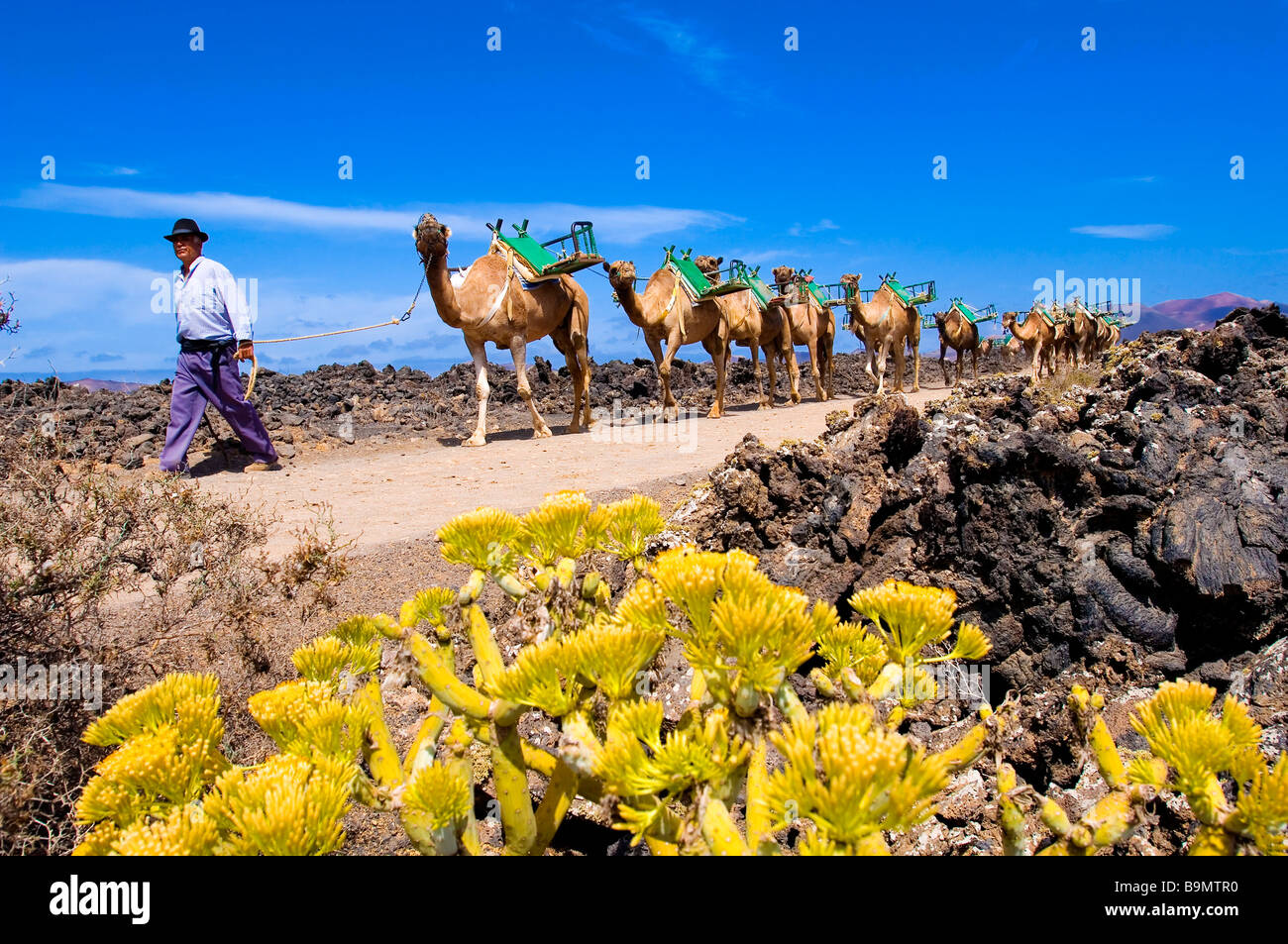 Camel island hi-res stock photography and images - Alamy