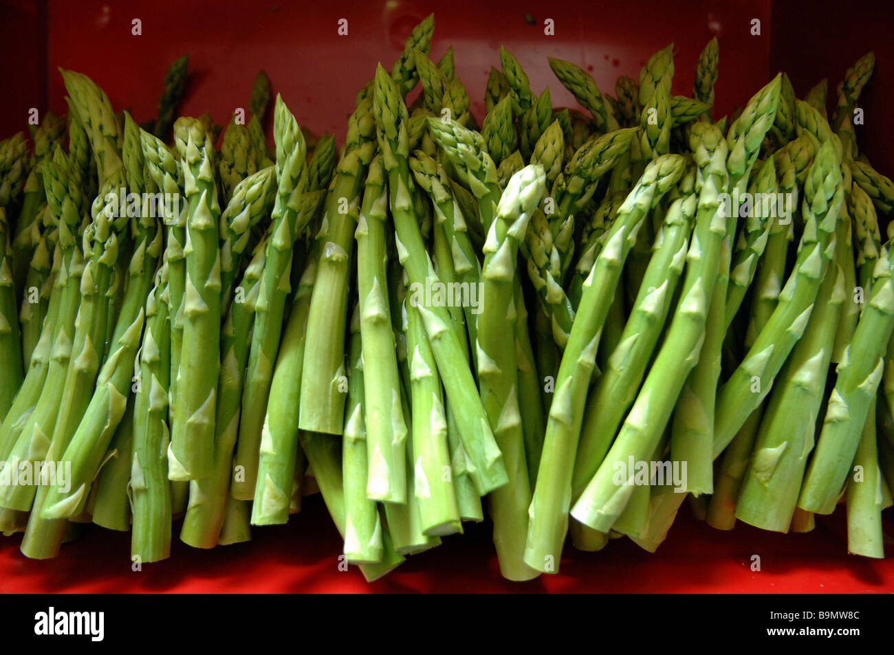 Asparagus edible hi-res stock photography and images - Alamy