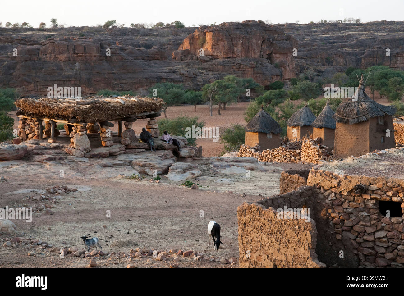 West Africa Mali Dogon country Stock Photo - Alamy