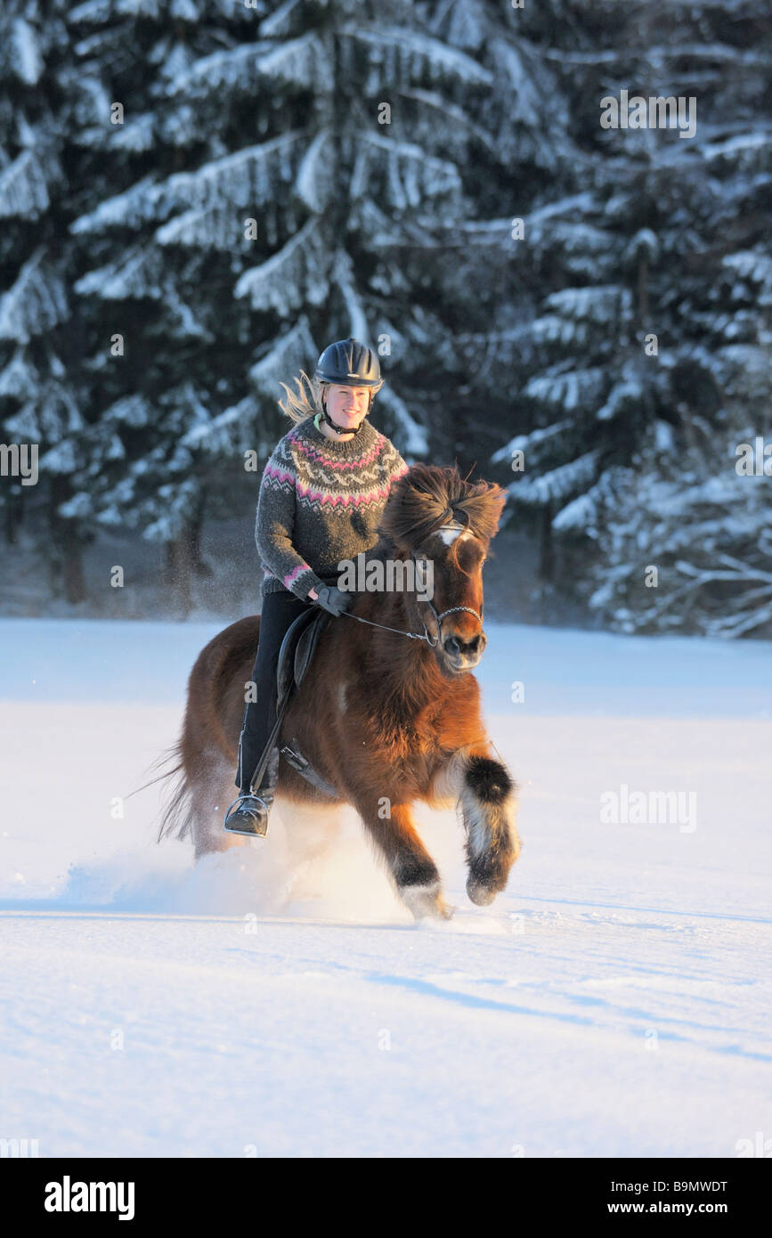Young rider on back of an Icelandic horse galloping in deep snow just ...