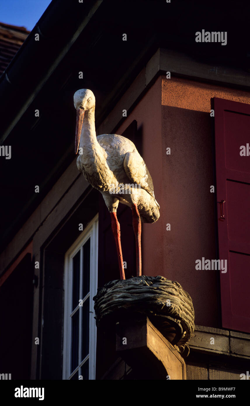 France, Alsace, a white stork, the emblem of Alsace Stock Photo - Alamy