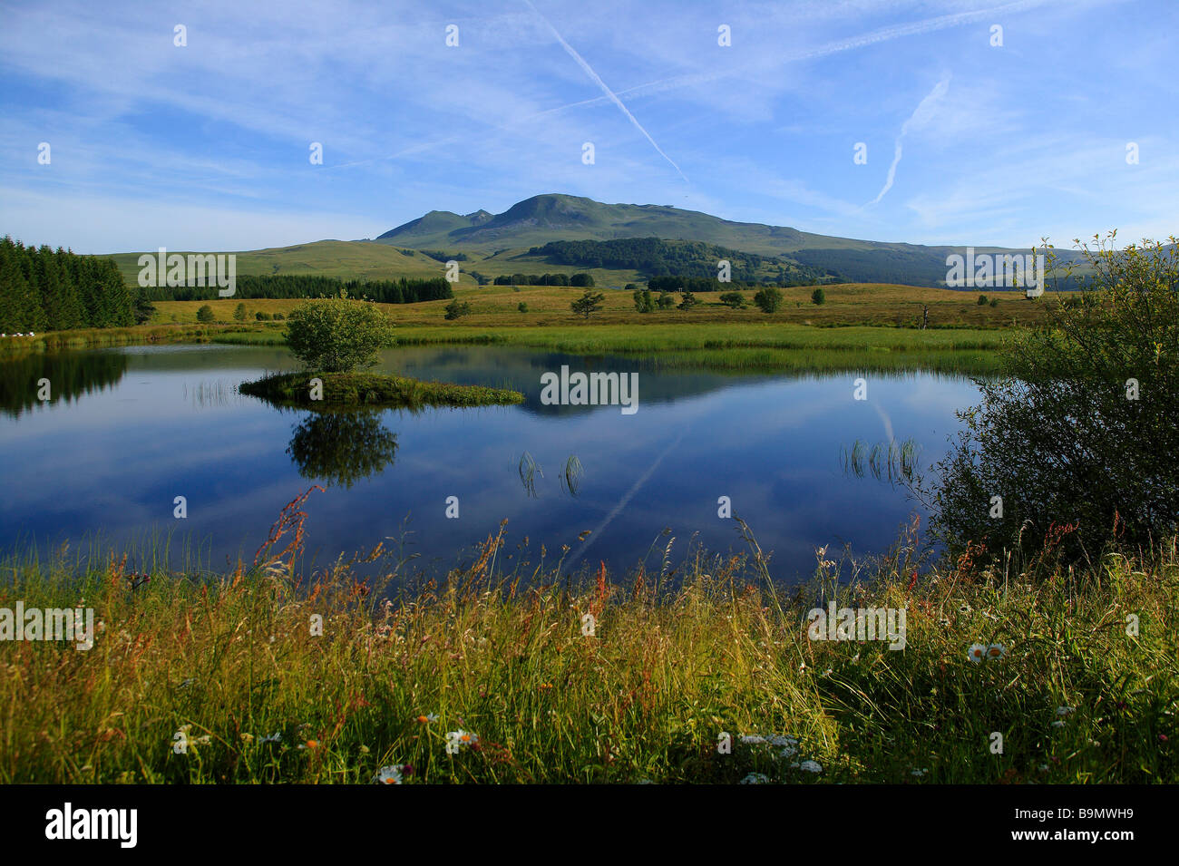 Peat dome hi-res stock photography and images - Alamy