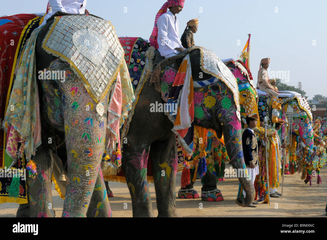 The Elephant Festival of Jaipur, in Rajasthan, India Stock Photo - Alamy