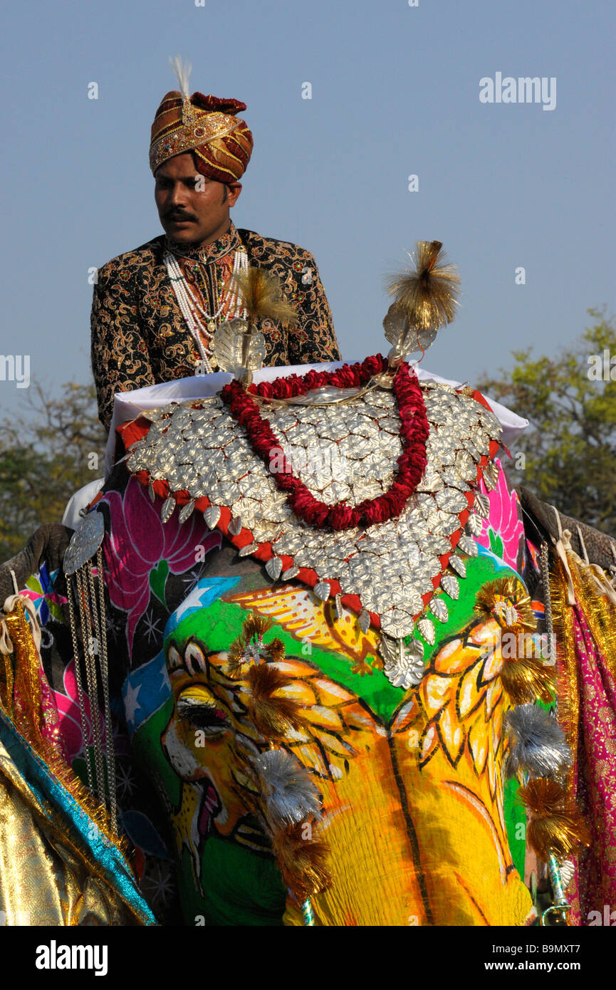 The Elephant Festival of Jaipur, in Rajasthan, India Stock Photo - Alamy