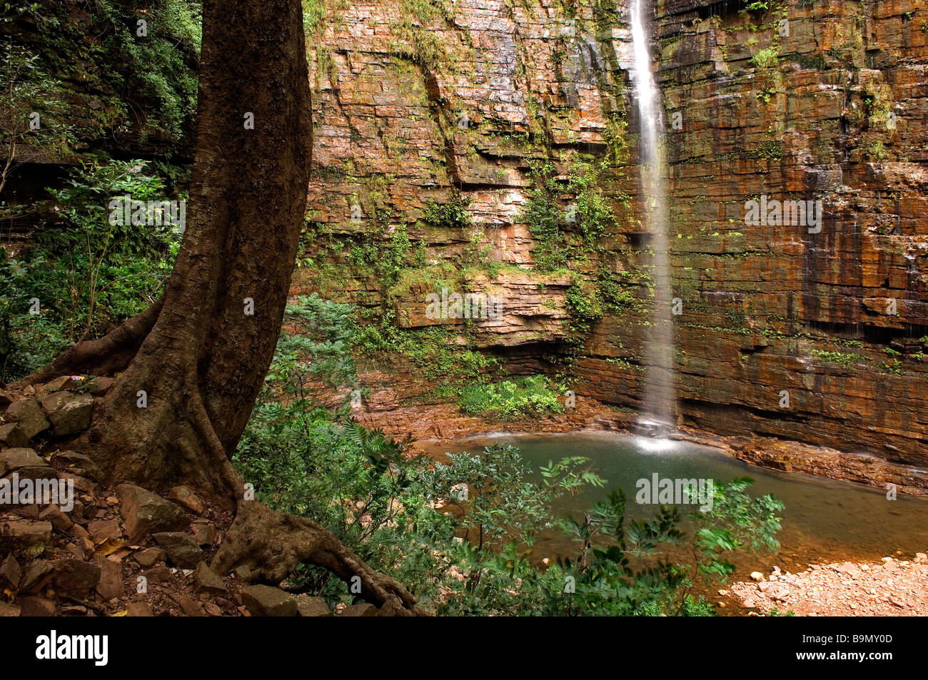 Senegal, Tambacounda region, near Kedougou, Dindefelo waterfalls Stock ...