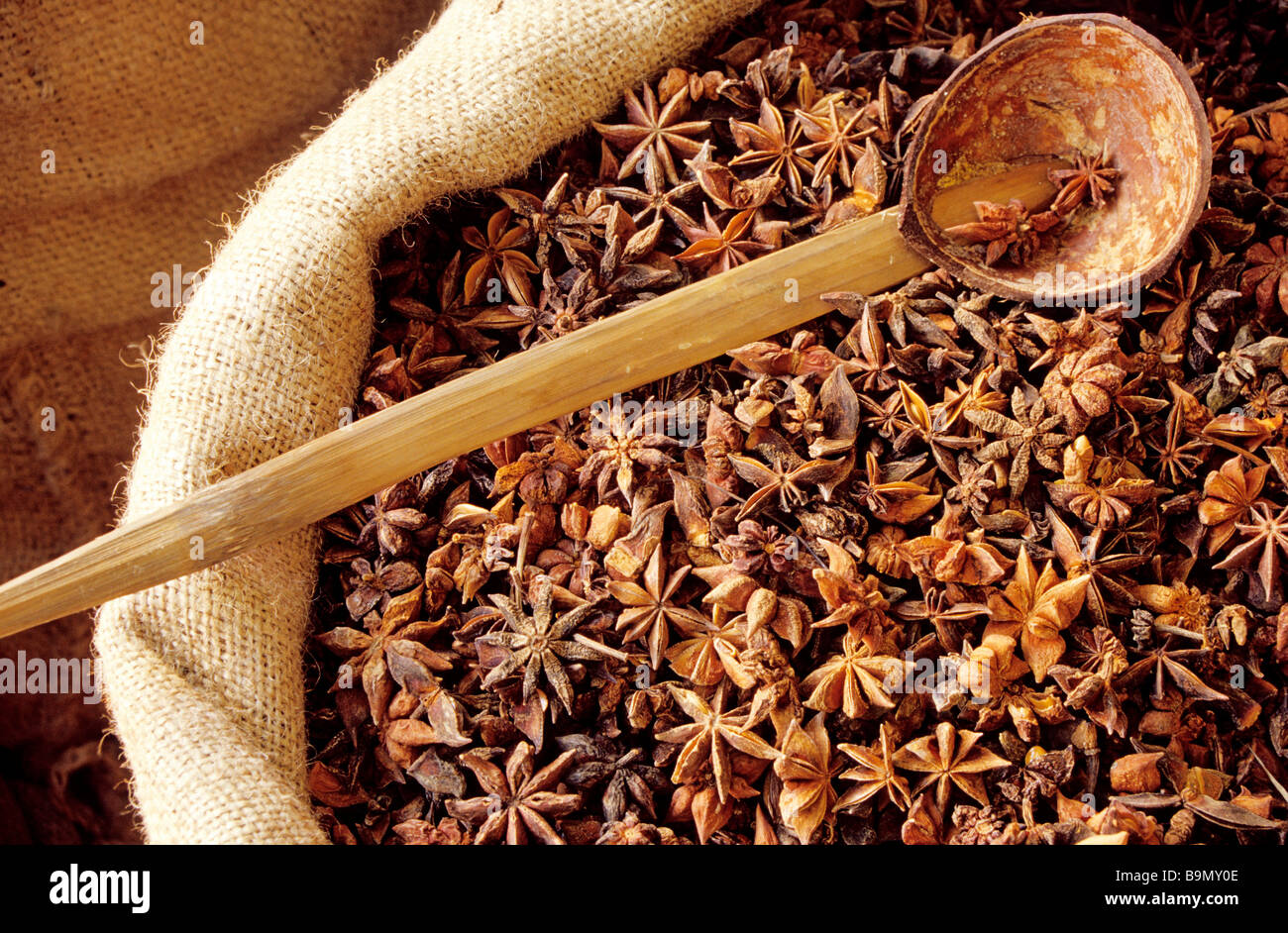 India, Kerala, Star anise Stock Photo - Alamy