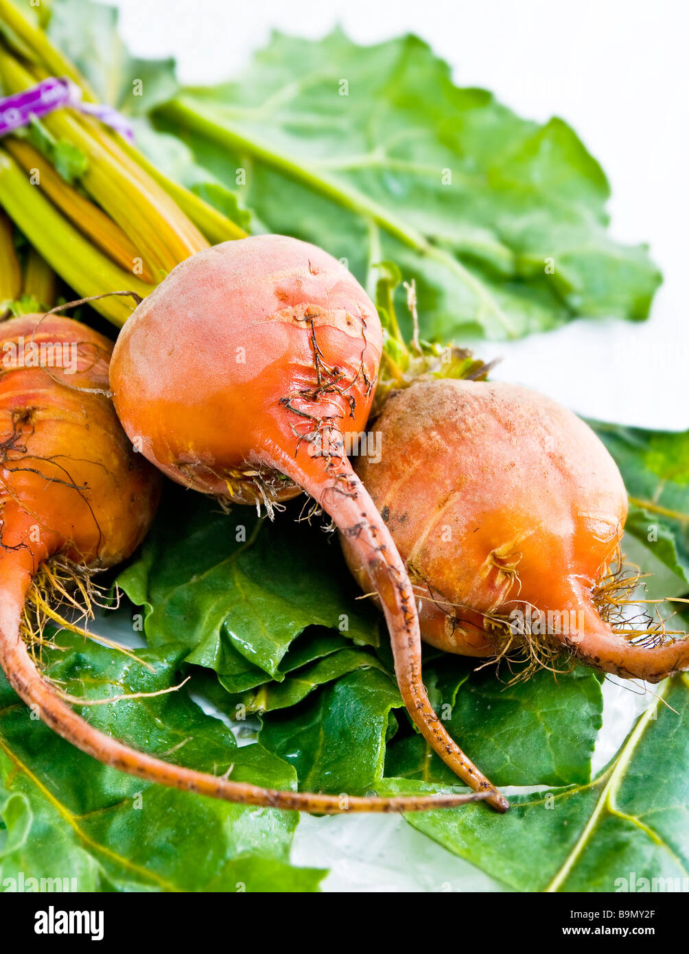 Large beets hi-res stock photography and images - Alamy