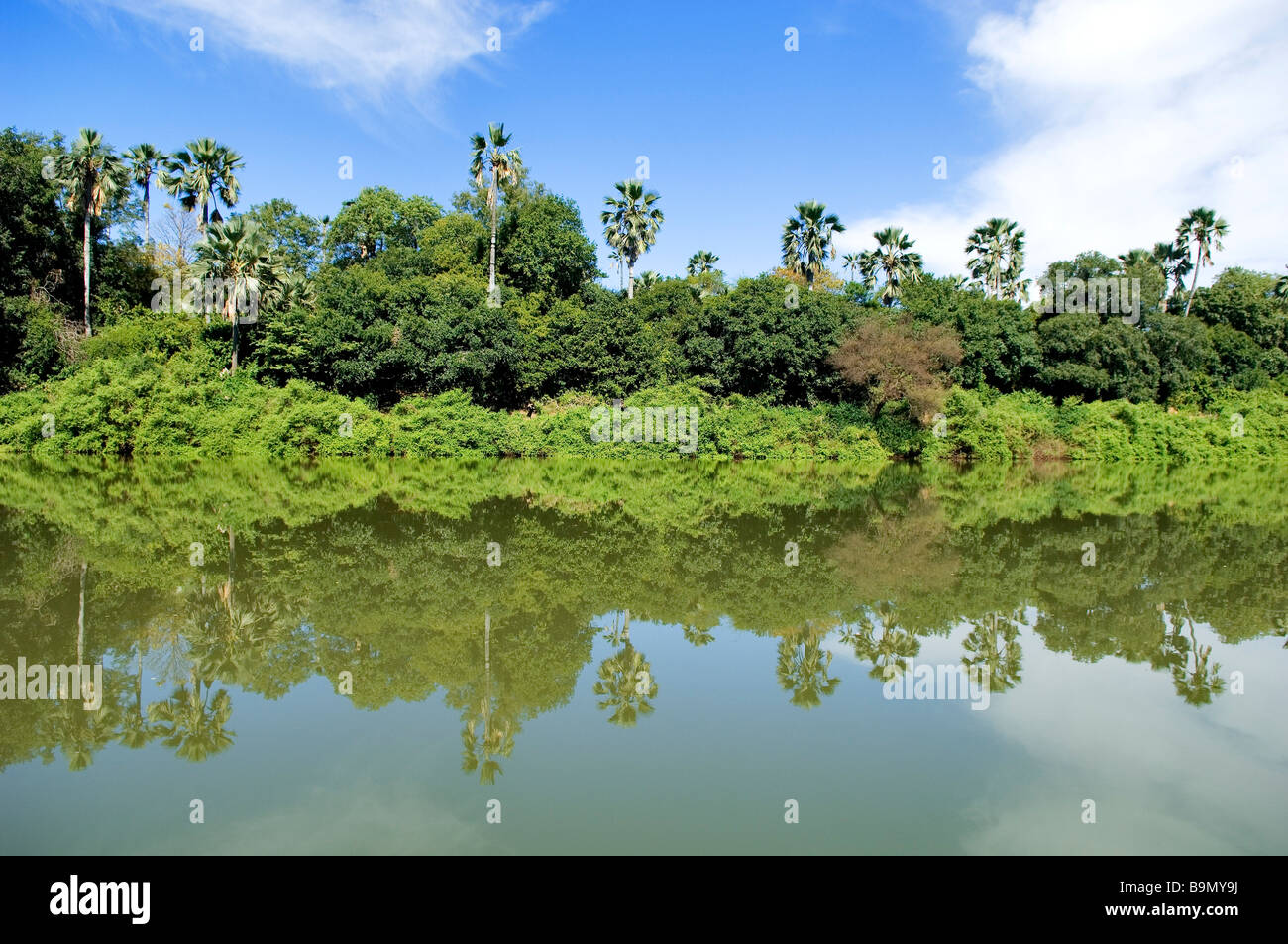 Senegal, Tambacounda region, Niokolo Koba national park, classified as ...