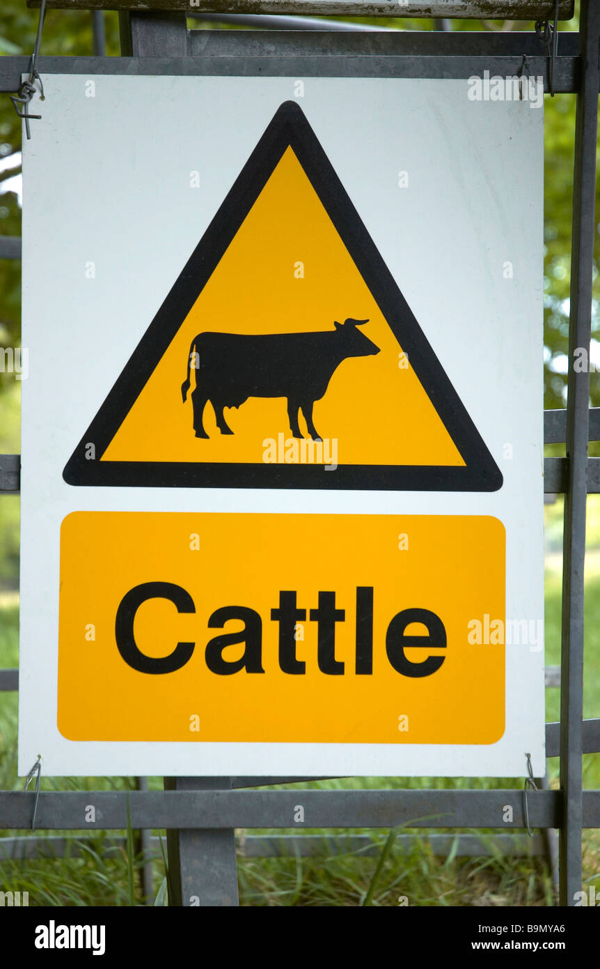 A cattle sign on a fence Stock Photo - Alamy