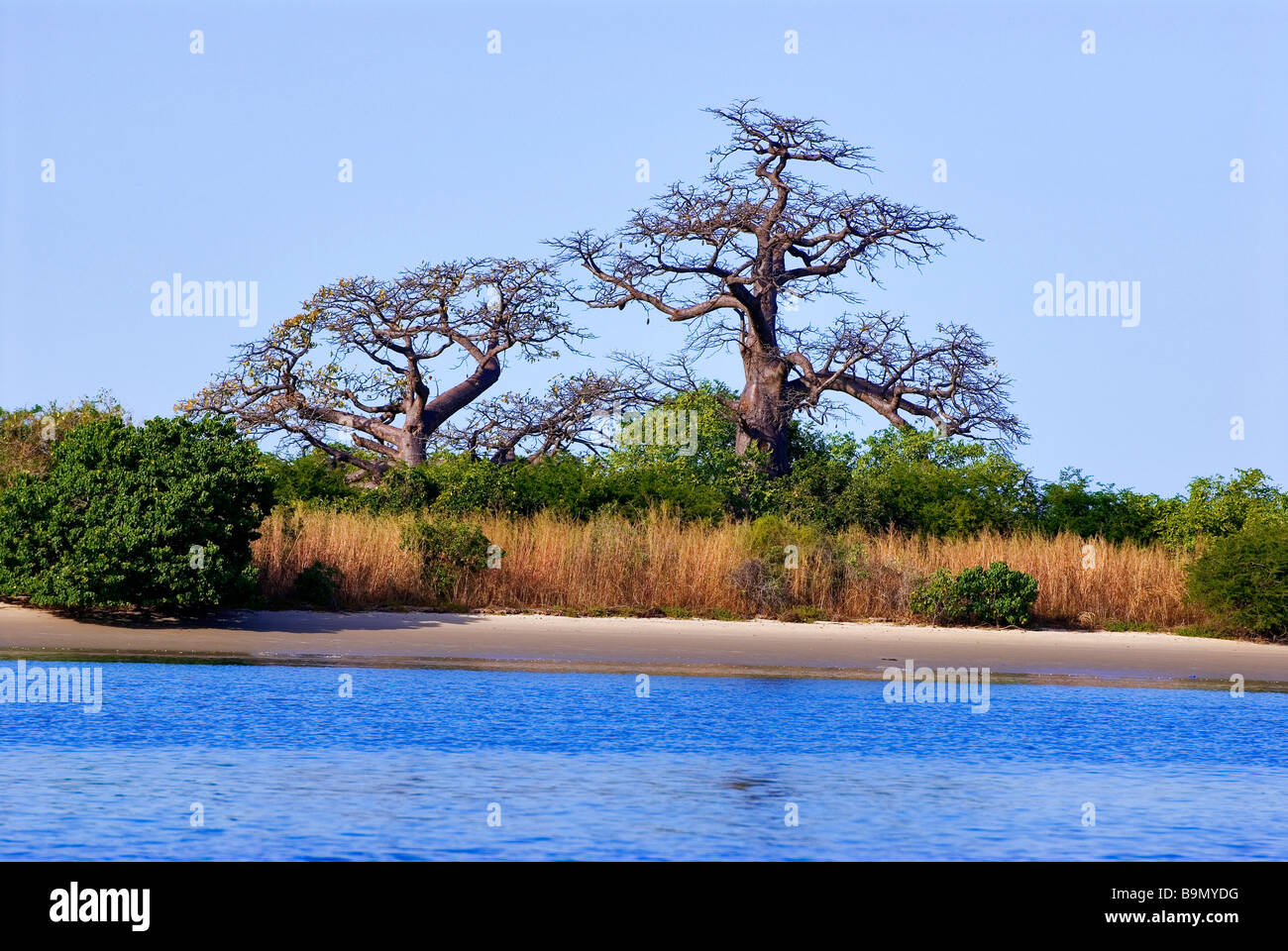 Senegal, Delta du Saloum National Park, biosphere reserve Stock Photo ...