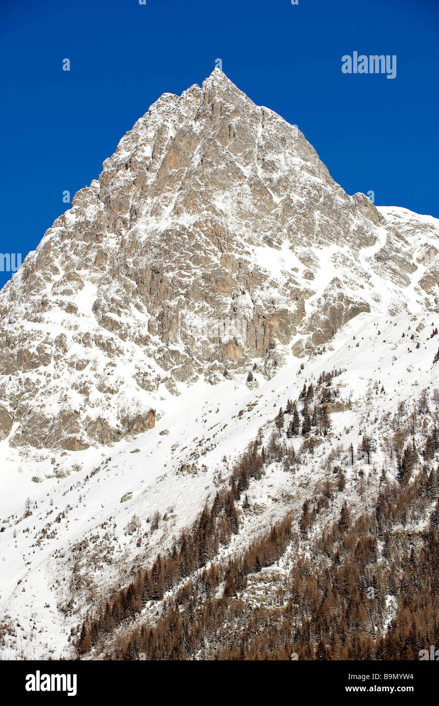 France, Haute Savoie, Mont Blanc Country, Aiguilles Rouges nature ...