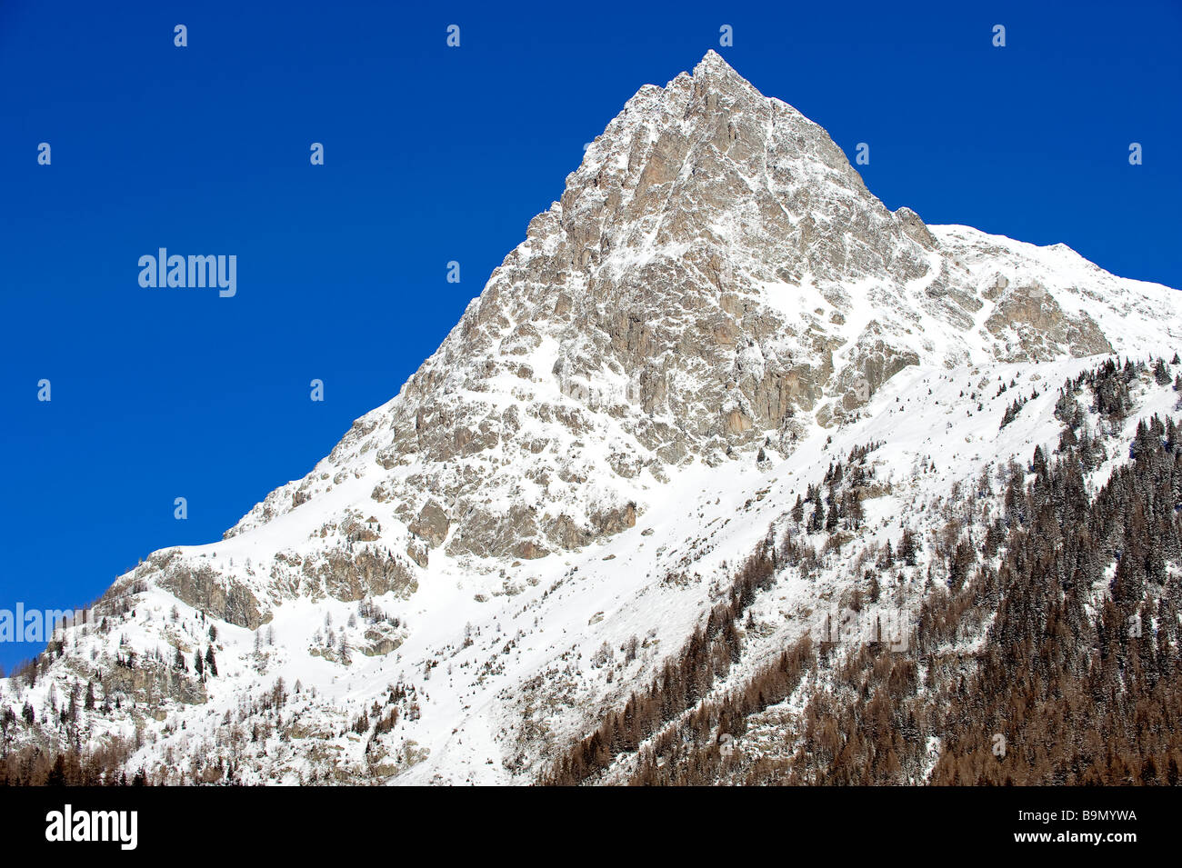France, Haute Savoie, Mont Blanc Country, Aiguilles Rouges nature ...
