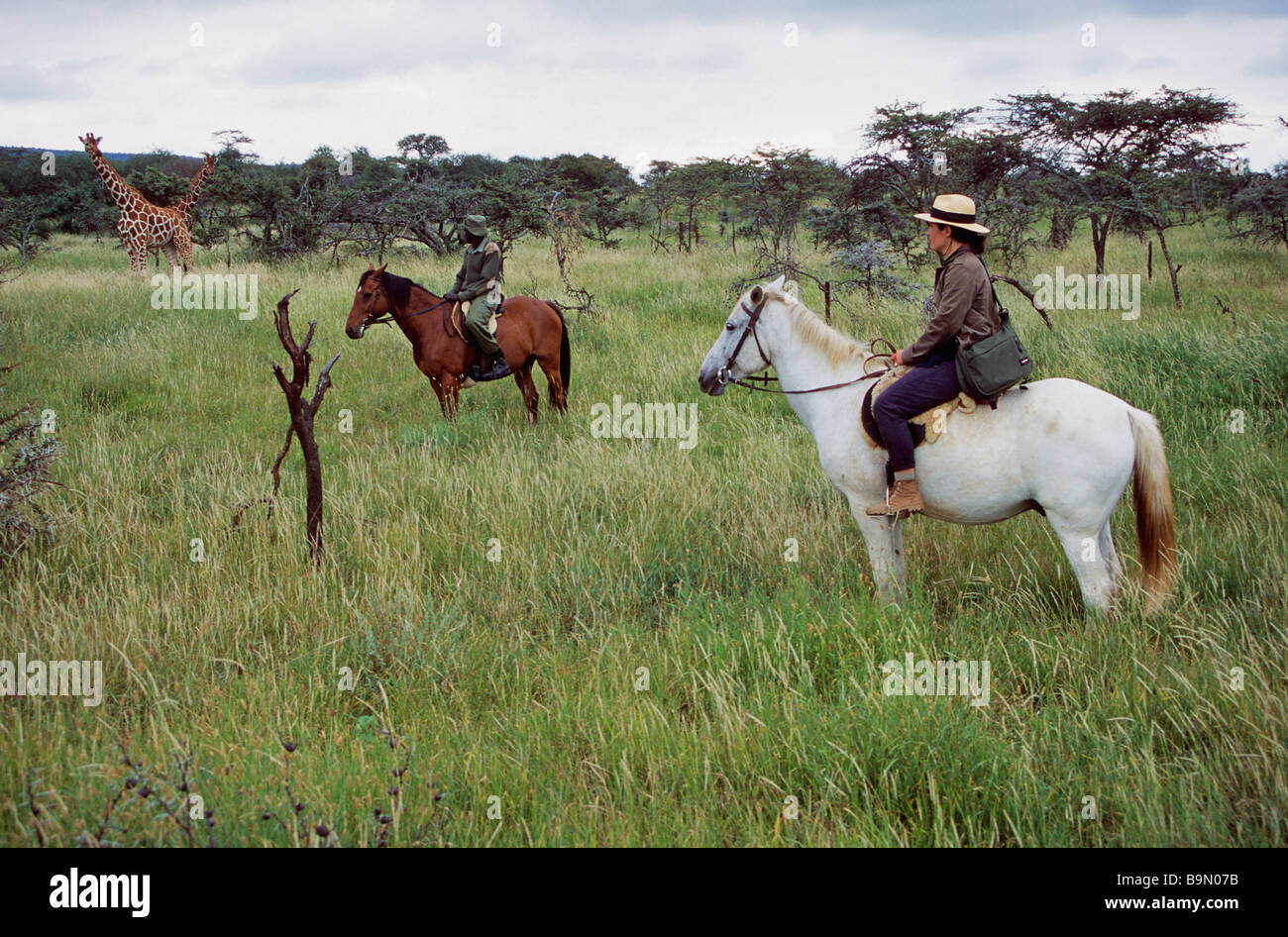 Kenya, Lewa Downs National Reserve, tourist horse riding Stock Photo ...