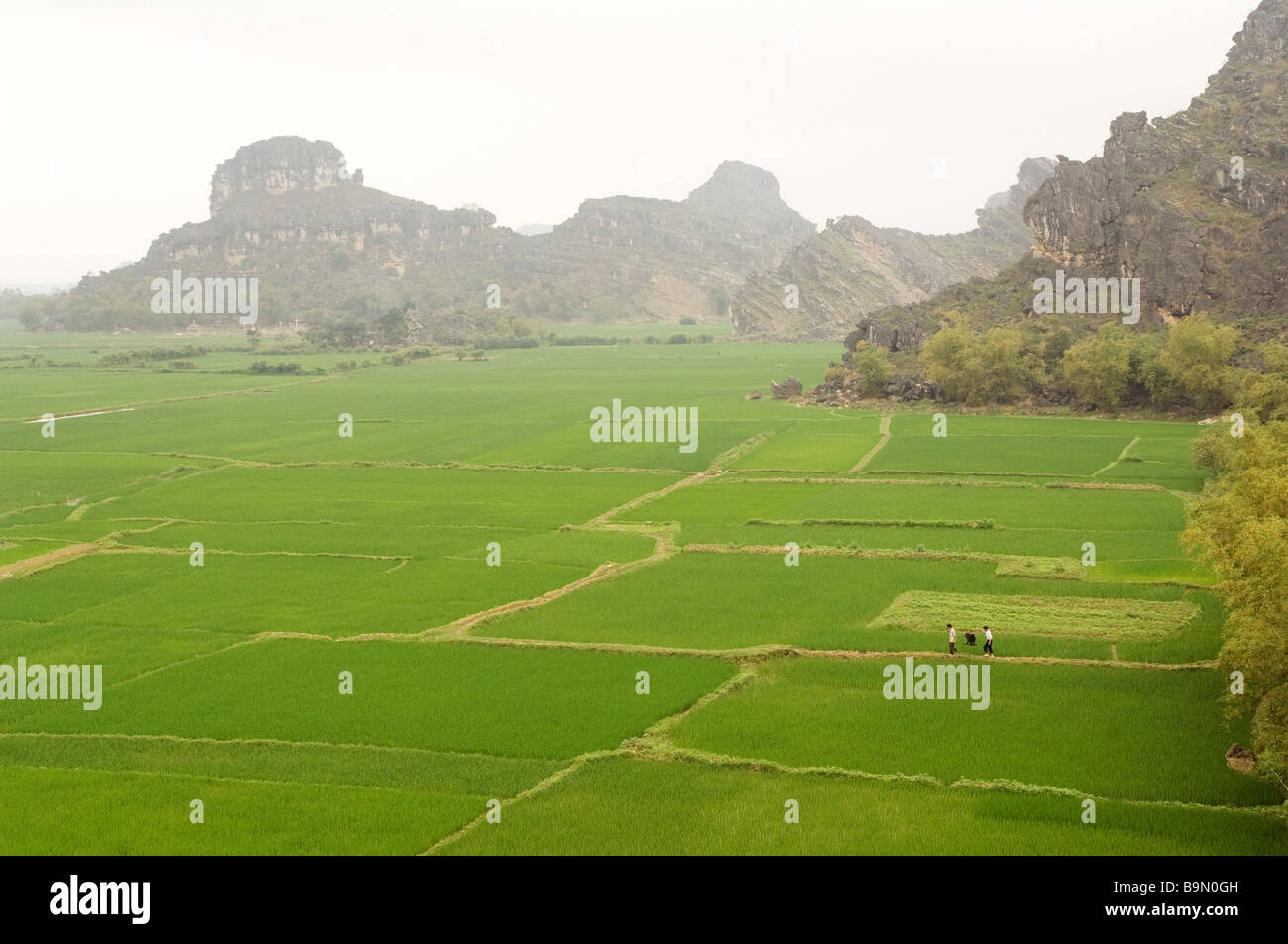 Thung nang valley hi-res stock photography and images - Alamy